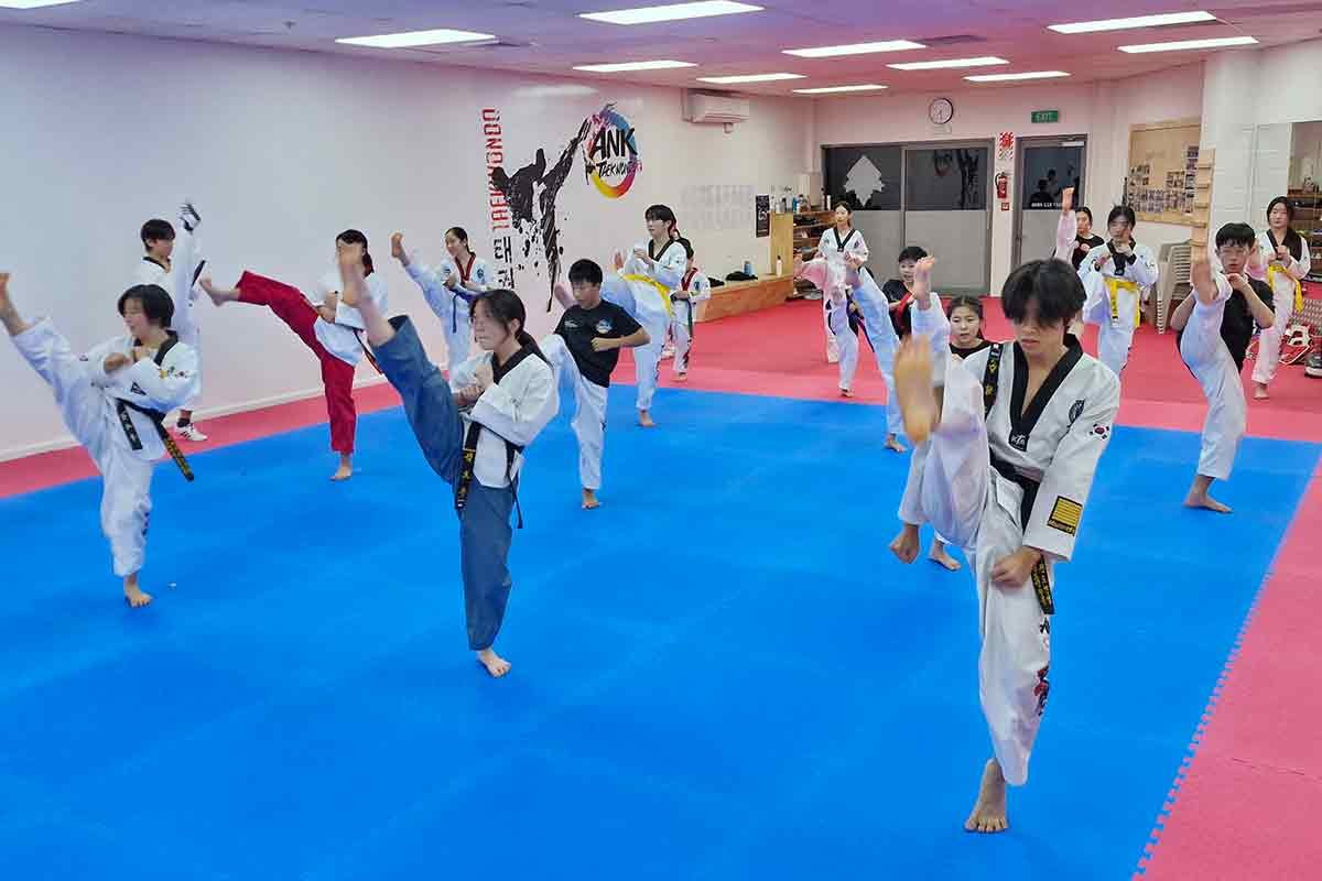 Home - ANK Taekwondo Academy